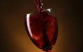 狗肉煲怎么做_狗肉煲的家常做法