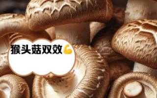 抗癌作用最强的菌菇_哪种菌菇抗癌效果最好