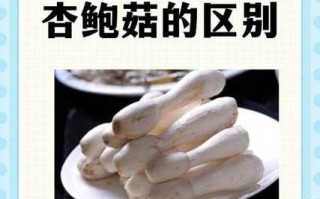 鸡腿菇长什么样_鸡腿菇和杏鲍菇区别
