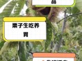 生吃栗子的营养价值_生吃栗子有哪些功效