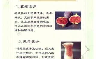 无花果的功效与作用_无花果怎么吃最营养
