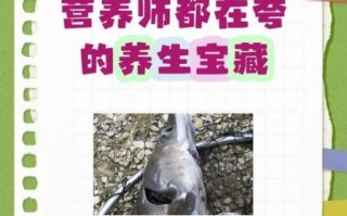 鲟鱼的营养价值与功效_鲟鱼怎么吃最营养