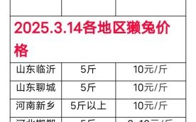 肉兔收购价格多少钱一斤_大量收购肉兔怎么联系