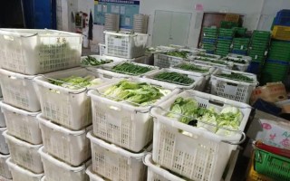 蔬菜配送公司需要什么资质_如何起步