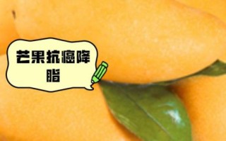 芒果上火吗_吃芒果会不会上火