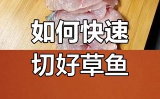 鱼片怎么切片没有刺_去刺技巧