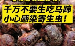 马蹄生吃有寄生虫吗_马蹄怎么洗才安全