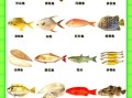 海鱼种类大全图片_如何分辨常见海鱼