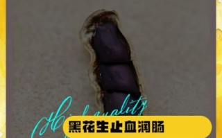 黑花生的功效与作用及食用方法_黑花生怎么吃最好