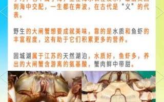 大闸蟹养殖技术视频_如何科学养蟹 大闸蟹养殖技术视频_如何科学养蟹