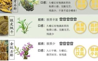 石斛能治什么病_石斛的功效与作用