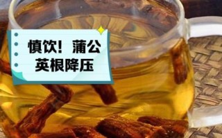 蒲公英泡水喝的功效与禁忌_哪些人不能喝