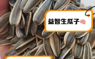 生瓜子的功效与作用_生瓜子吃多了会上火吗