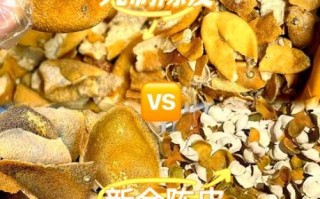 九制陈皮怎么做_家庭自制九制陈皮步骤