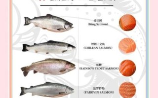 大西洋鲑鱼是三文鱼吗_如何区分真假三文鱼