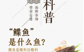 鲽鱼和深海鲽鱼的区别_深海鲽鱼是不是更营养