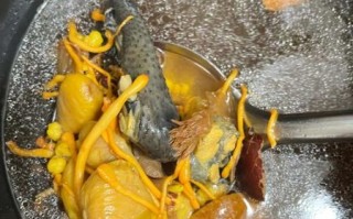 乌鸡怎样炖汤好吃_乌鸡炖汤放什么料最香