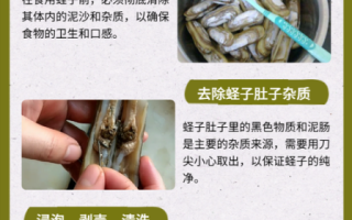 蛏子怎么清洗内脏_蛏子去内脏视频教程