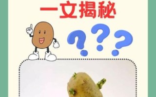 生芽土豆怎样处理能吃_土豆发芽了还能吃吗