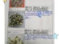 豆苗呀豆苗呀微博内容怎么写_豆苗呀豆苗呀微博涨粉技巧