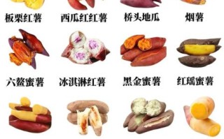 薯类食物有哪些_常见薯类品种与营养区别