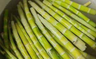 竹笋怎么做好吃_新鲜竹笋处理步骤
