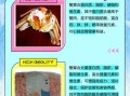 蟹黄在哪个部位_蟹黄和蟹膏的区别图解