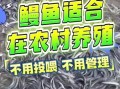 鳗鱼养殖基地怎么选_鳗鱼养殖基地投资成本