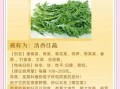 菊花菜的功效与作用_菊花菜怎么吃最营养