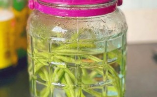 家庭自制泡豇豆的做法_泡豇豆怎么保存不烂