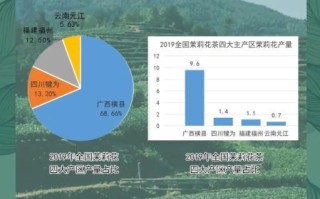 茉莉花茶哪里的最正宗_如何辨别正宗产地