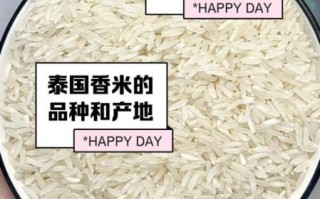 泰国香米怎么煮好吃_泰国香米煮多久才香