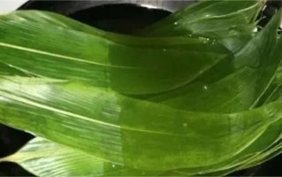 怎样煮粽子粽叶不变色_粽叶翠绿秘诀