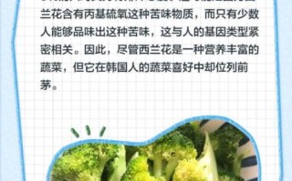 韩国人为什么不炒菜吃_韩国饮食为什么没有爆炒