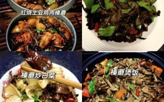 榛蘑菇怎么做好吃_榛蘑菇的做法大全