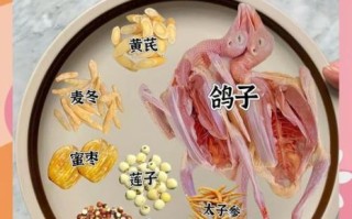 炖鸽子汤的做法_炖鸽子汤的功效与禁忌
