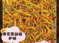 鲜黄花菜的功效与作用_鲜黄花菜怎么吃才安全