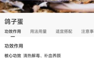 鸽子蛋怎么吃最好_鸽子蛋的营养价值及做法