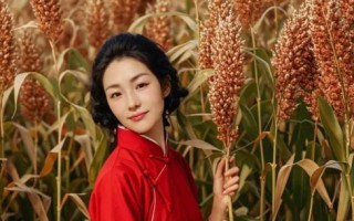 高粱红了像什么_高粱红了拟人句怎么写