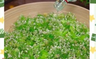 怎样腌韭菜花好吃又不坏_韭菜花腌制窍门