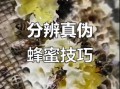 蜂巢蜜真假怎么辨别_蜂巢蜜真假鉴别方法
