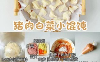 青菜猪肉馄饨馅怎么调才嫩_青菜猪肉馄饨馅的做法窍门