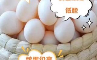 鸽子蛋的营养价值比鸡蛋高吗_孕妇吃鸽子蛋好还是鸡蛋好