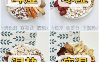 健脾祛湿的食物有哪些_怎么吃效果最好