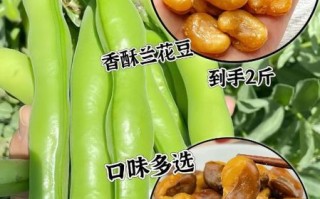 兰花豆怎么炒才脆_兰花豆的营养价值