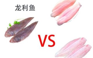 龙利鱼片和巴沙鱼片怎么区分_龙利鱼巴沙鱼哪个好
