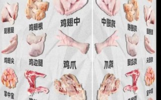 鸡胃和鸡胗一样吗_鸡胗是鸡的哪个部位 鸡胃和鸡胗一样吗_鸡胗是鸡的哪个部位