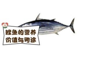 鲣鱼是什么鱼_鲣鱼和金枪鱼区别