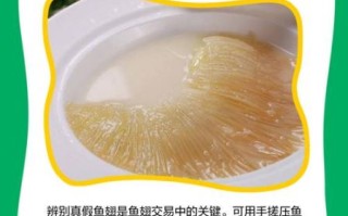 干鱼翅的种类图片大全_如何辨别真假干鱼翅