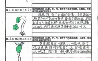 豆子发芽七天过程_怎么观察记录